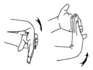 3 Ways To Manage Supinator Muscle Pain – Urban Health HQ